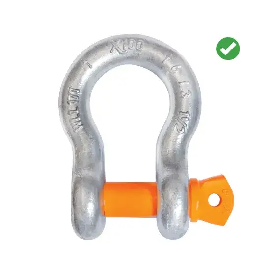 Shackle Comparison Guide